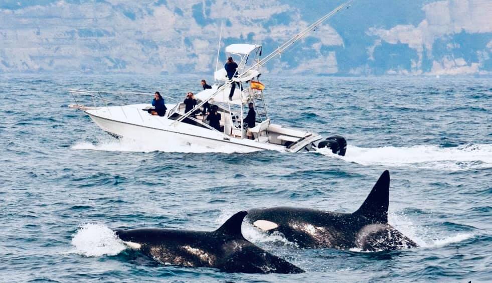 Family-Friendly Guide: What to Do in Tarifa in October - Tarifa Beach ...