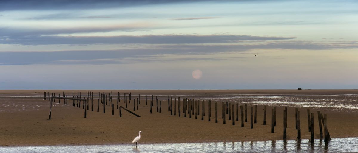 Out-of-Season Tarifa: A Local’s Guide to the Quiet Magic of Winter on ...